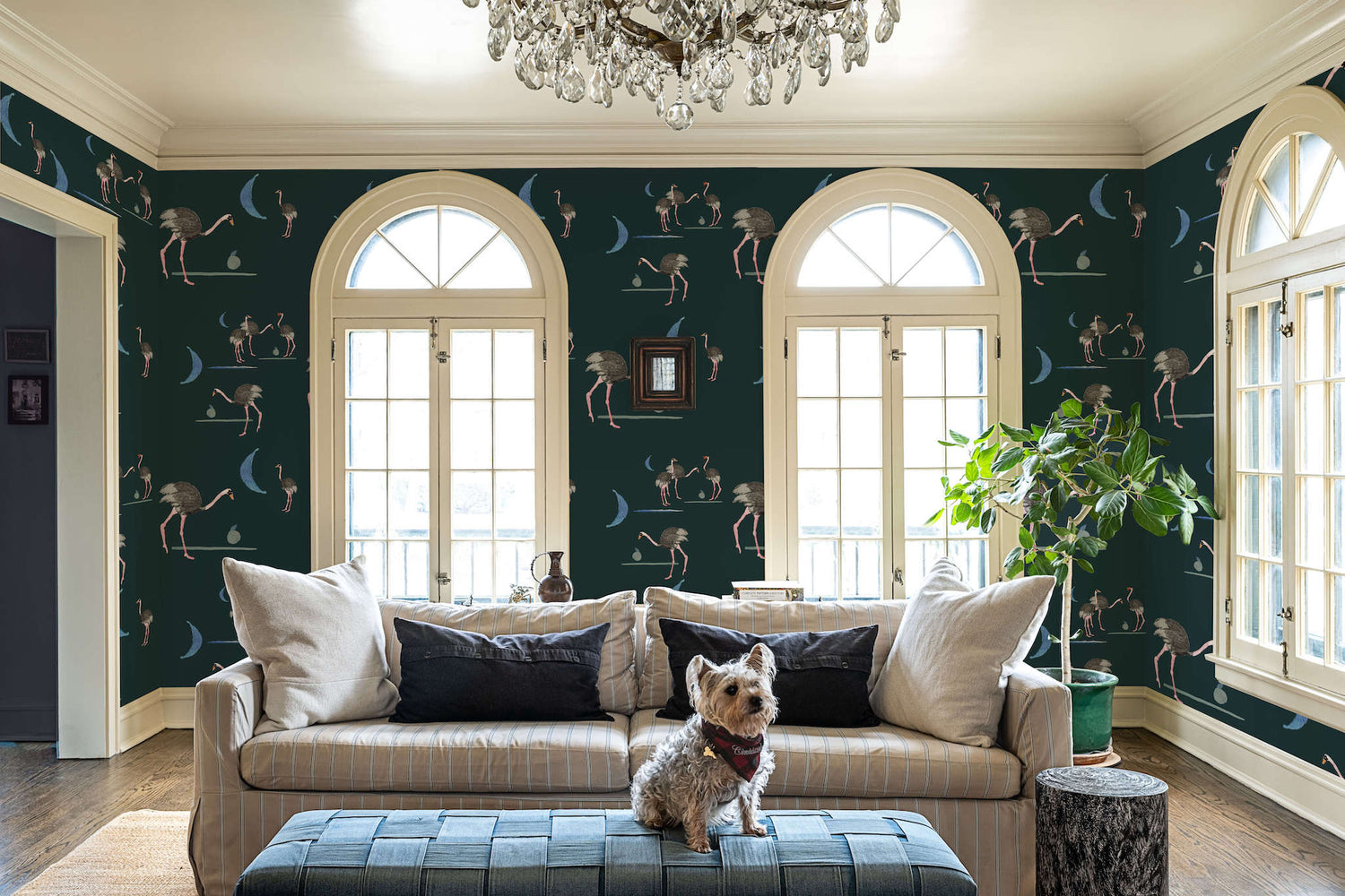 Journal – Forward Fruit